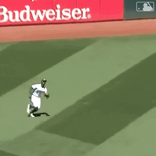 Slide Catch Major League Baseball Gif GIF | GIFDB.com