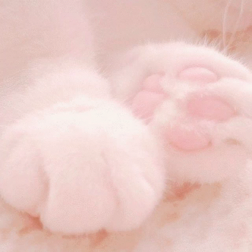 Soft Aesthetic Bunny Hat Cute