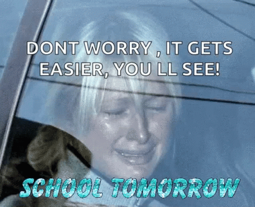 Test Day Crying Paris Hilton Meme