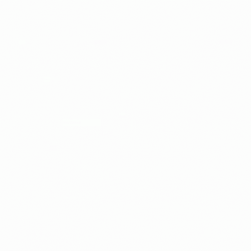 Tg Seo Animation