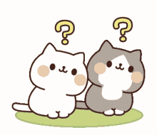 two-cute-animated-cats-ion-mark-gif-gifdb