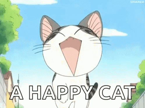 Happy Cat Meme S