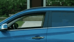 A Lady Van Driver GIF | GIFDB.com
