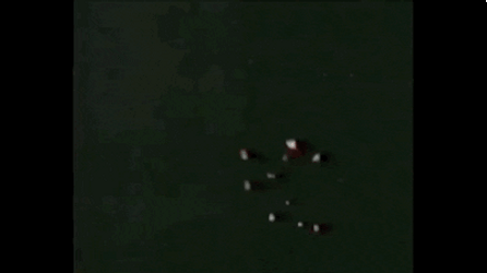 Adidas Run Logo Ad GIF | GIFDB.com