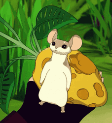 Adorable Mouse What's Wrong GIF | GIFDB.com