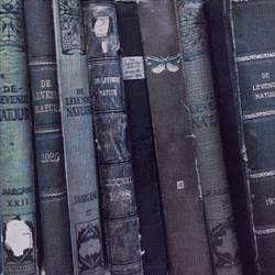 Aesthetic Minimalist Cottage Core GIF | GIFDB.com