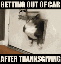 After Happy Thanksgiving Meme GIF | GIFDB.com