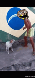 Ahhhh Meme Barking Dog GIF | GIFDB.com