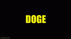 Ain't Nobody Got Time For That Doge GIF | GIFDB.com