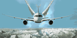 Airplane With Wings GIF | GIFDB.com