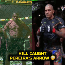 Alex Pereira Versus Hill Caught Arrow GIF | GIFDB.com
