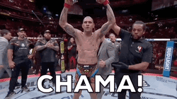 Alex Pereira Win Chama GIF | GIFDB.com