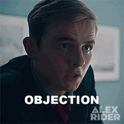 Alex Rider Objection Your Honor GIF | GIFDB.com
