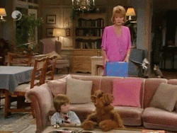 Alf Laughing Slap Table GIF | GIFDB.com