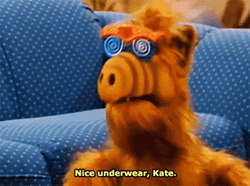 Alf Nice Undearwear Kate GIF | GIFDB.com