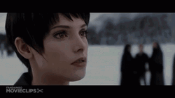Alice Cullen Face Off GIF | GIFDB.com