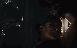 Alien Chestburster Xenomorph Alien Romulus GIF | GIFDB.com