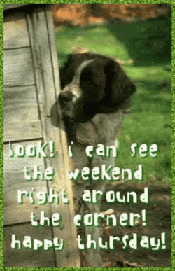 Almost The Weekend Right Around The Corner GIF | GIFDB.com