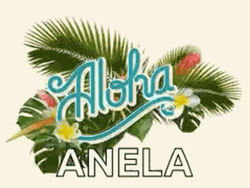 Aloha Anela Hawaii GIF | GIFDB.com