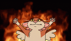 Amaru The Cat On Fire GIF | GIFDB.com