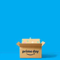 Amazon Prime Day Box GIF | GIFDB.com