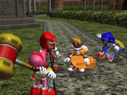 Amy Rose And Sonic Team Fighting GIF | GIFDB.com