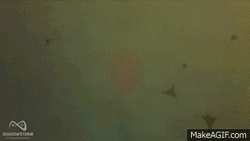 Anbu Dodging Uchiha Shisui Susanoo Attack GIF | GIFDB.com