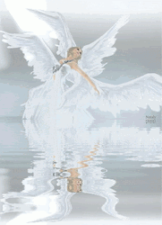 Water Angel Wings