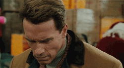 Angry Arnold Schwarzenegger Jingle All The Way GIF | GIFDB.com