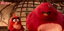 Fat Angry Birds Red Bird