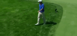 Angry Golf Player GIF | GIFDB.com