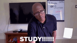 Angry Professor Screaming Study Meme GIF | GIFDB.com