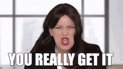 Angry You Really Get It GIF | GIFDB.com