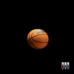 Animated Basketball Nba Wilson Ball GIF | GIFDB.com
