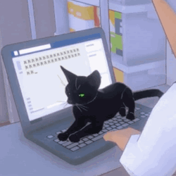 Animated Cat On Computer Lying Down GIF | GIFDB.com