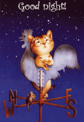 Animated Cat On Wind Vane Having Good Night GIF | GIFDB.com