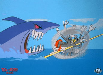 Animated Cat Tom Chased By Shark GIF | GIFDB.com