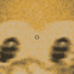 Animated Emoji Monkey Loop GIF | GIFDB.com