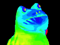 Funny Colorful Rgb Lights Doge Meme GIF | GIFDB.com