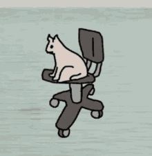 Animated Spinning Cat GIF | GIFDB.com