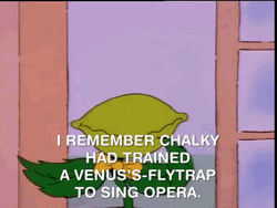 Animated Venus Fly Trap Singing GIF | GIFDB.com