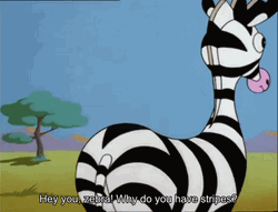 Animated Zebra Slapping A Bird GIF | GIFDB.com