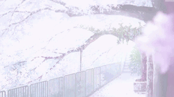 Anime Snow During Winter Sakura Season GIF | GIFDB.com
