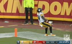 Antonio Brown Touchdown Pittsburgh Steelers GIF | GIFDB.com