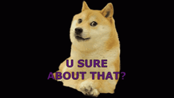 Are You Sure About That Curious Dog Meme GIF | GIFDB.com