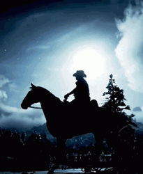 Arthur Morgan Riding Horse GIF | GIFDB.com