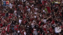 Atlanta Falcons Supporters Proud Of Team GIF | GIFDB.com