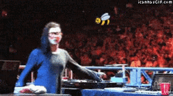 Attacked By A Bee Meme GIF | GIFDB.com