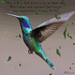 Atticus Motivational Quotes GIF | GIFDB.com