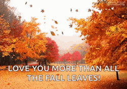 Autumn Season Falling Leaves GIF | GIFDB.com